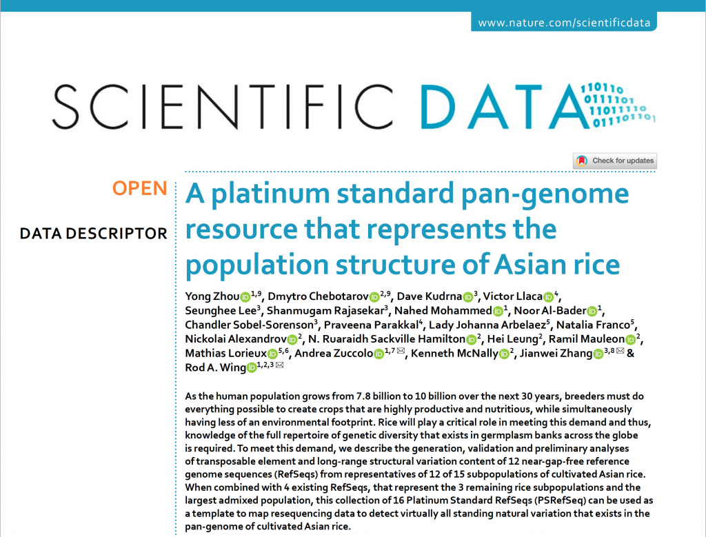 Riceome – Have a Rice day!